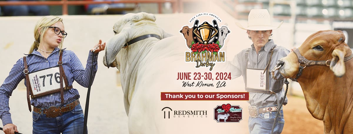 2023 National Brahman Show - Brahman Event
