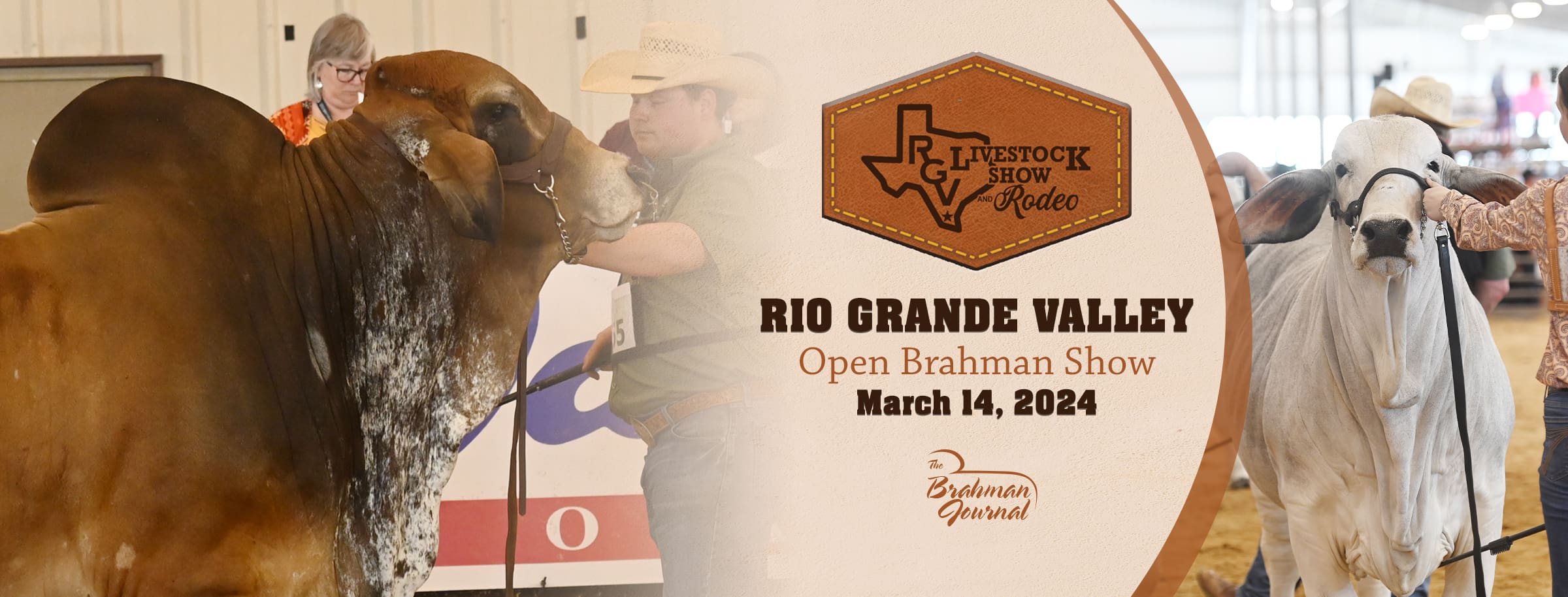 Rio Ranch Cattle & Equine Social - Brahman Event