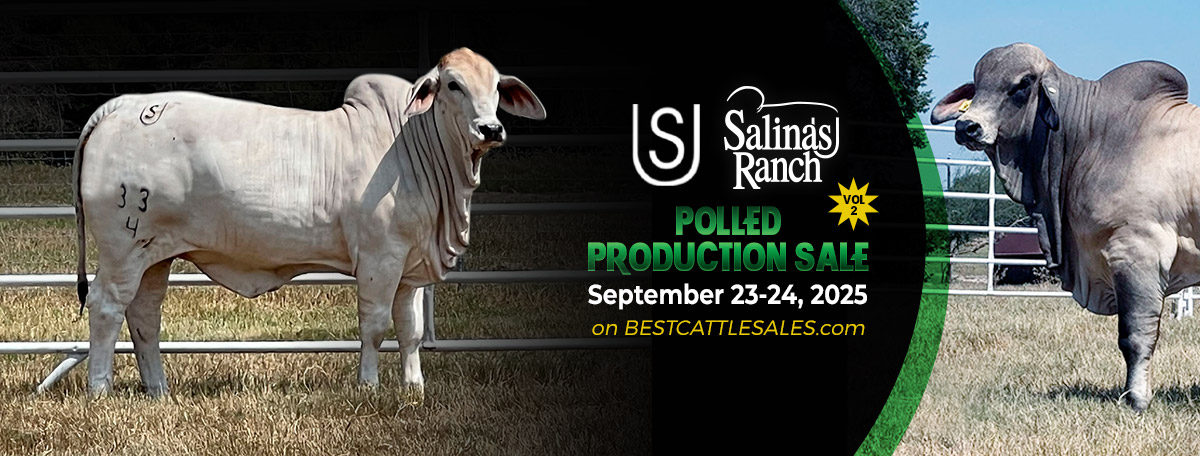 2025 Cattle Industry Convention & NCBA Trade Show - Brahman Event