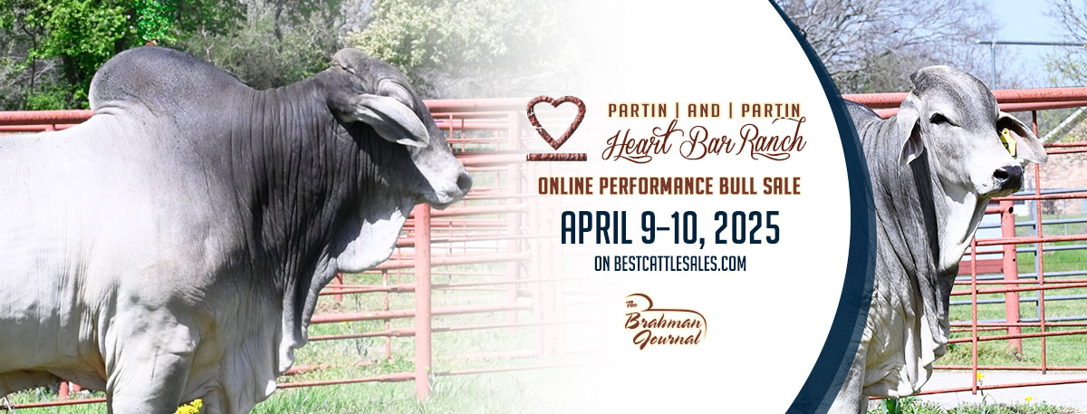 2025 TSCRA Cattle Raisers Convention & Expo - Brahman Event