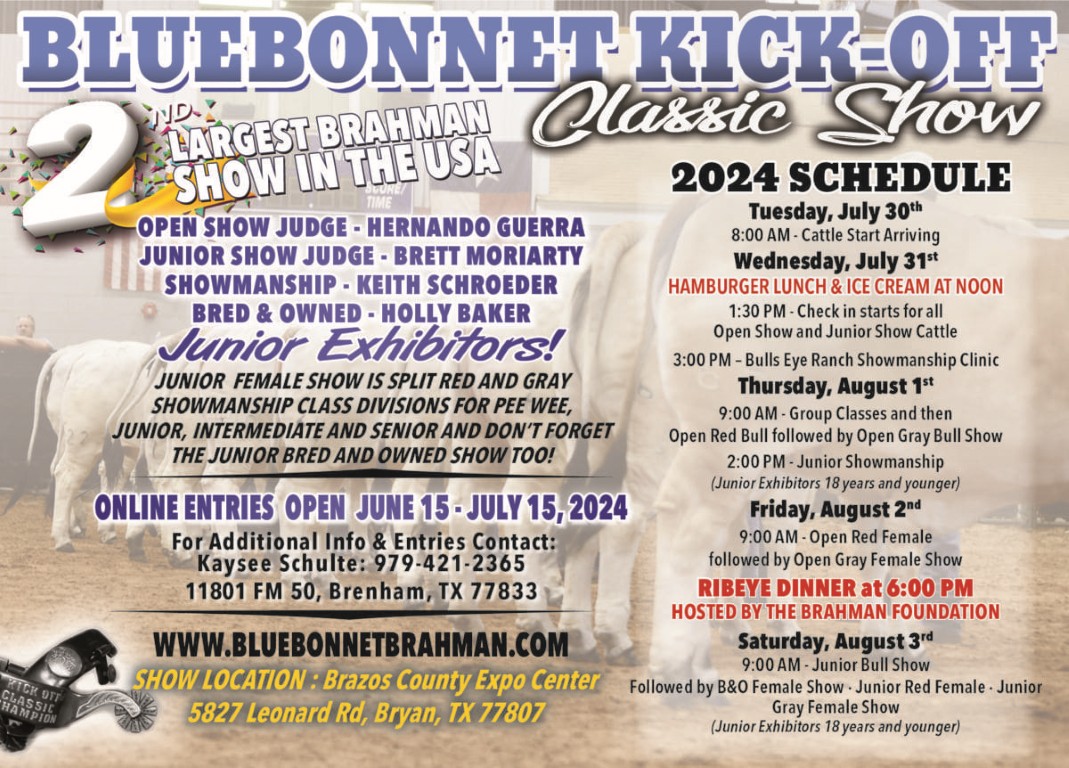 2024 Bluebonnet Kick Off Classic Open and Junior Show - Brahman Event
