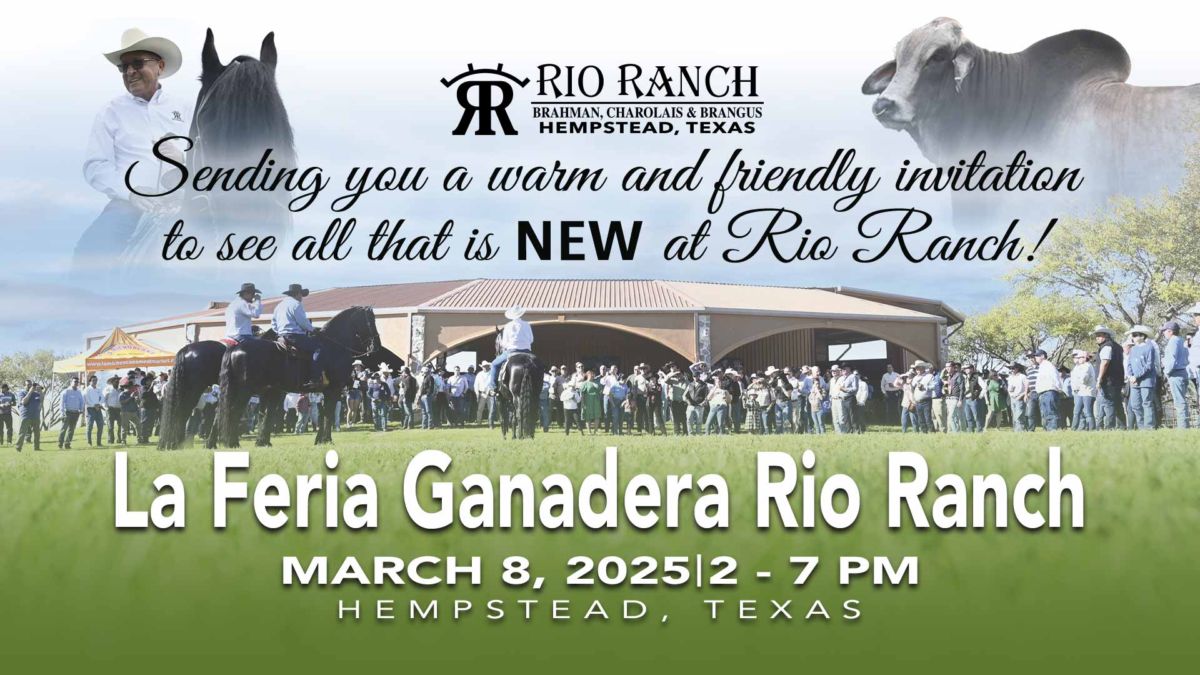 2025 Rio Ranch Cattle & Equine Social - Brahman Event